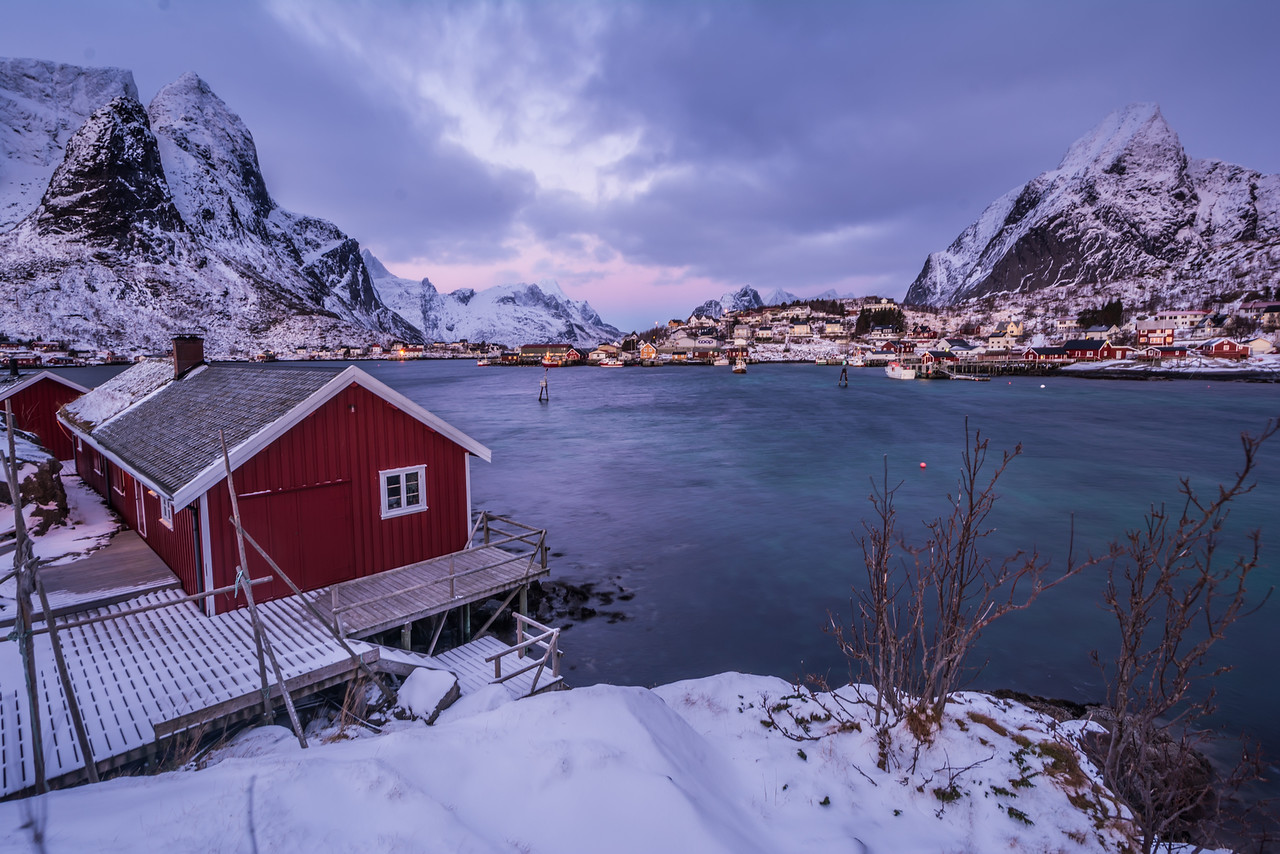 “Reine Fjord, Lofoten Islands, Norway” – CULTURED CREATURES