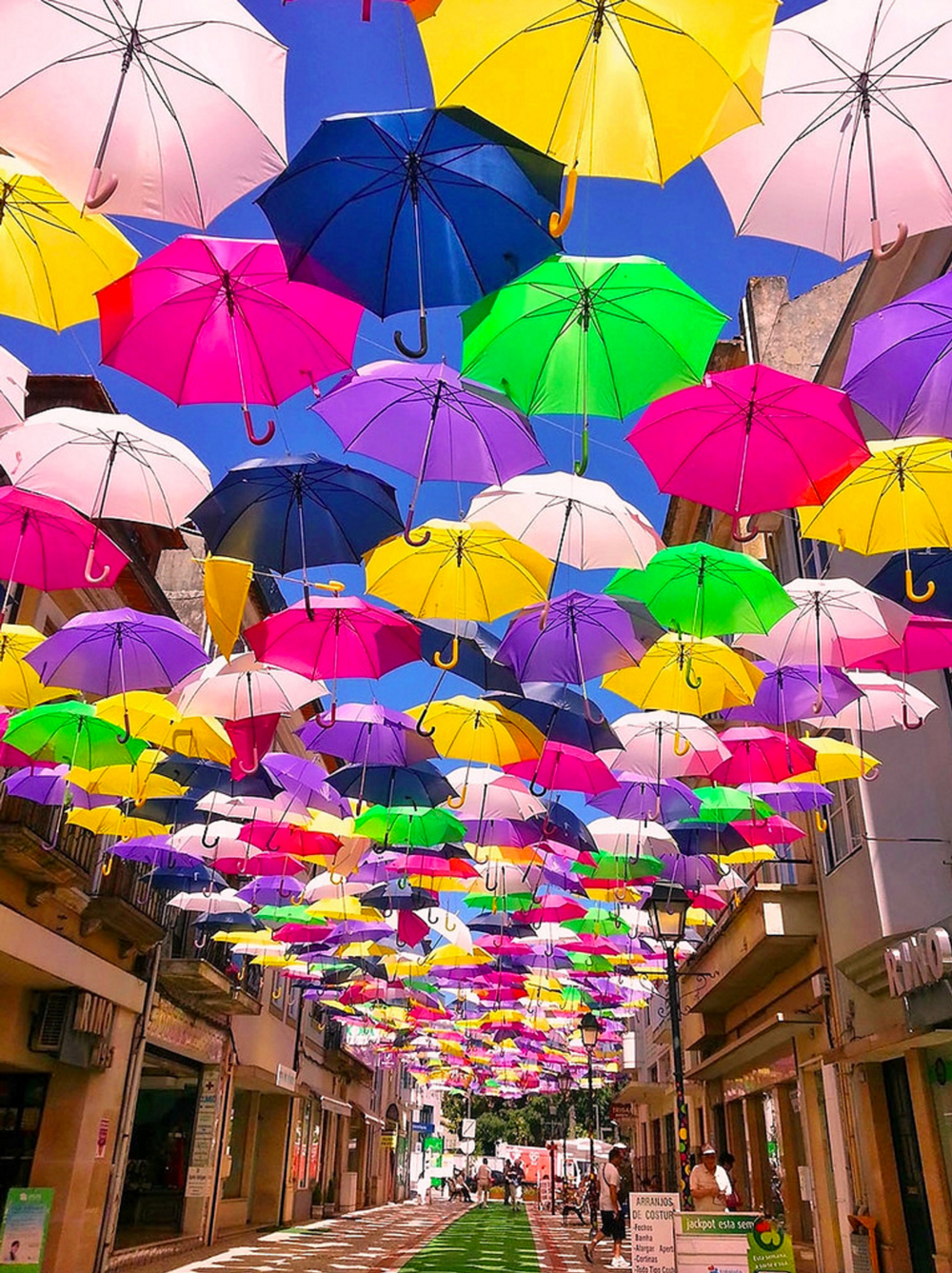 PROTUGAL – CULTURED CREATURES